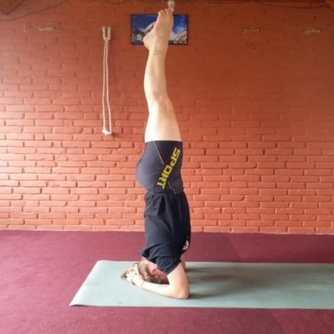 Salamba Sirsana - Salamba Yoga